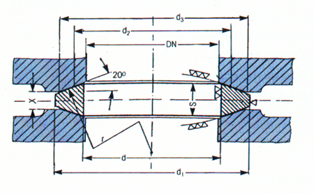 Ring Joint Gaskets | Star21 International