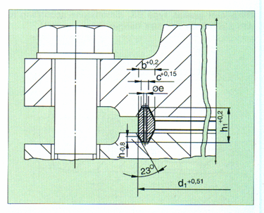 Ring Joint Gaskets | Star21 International